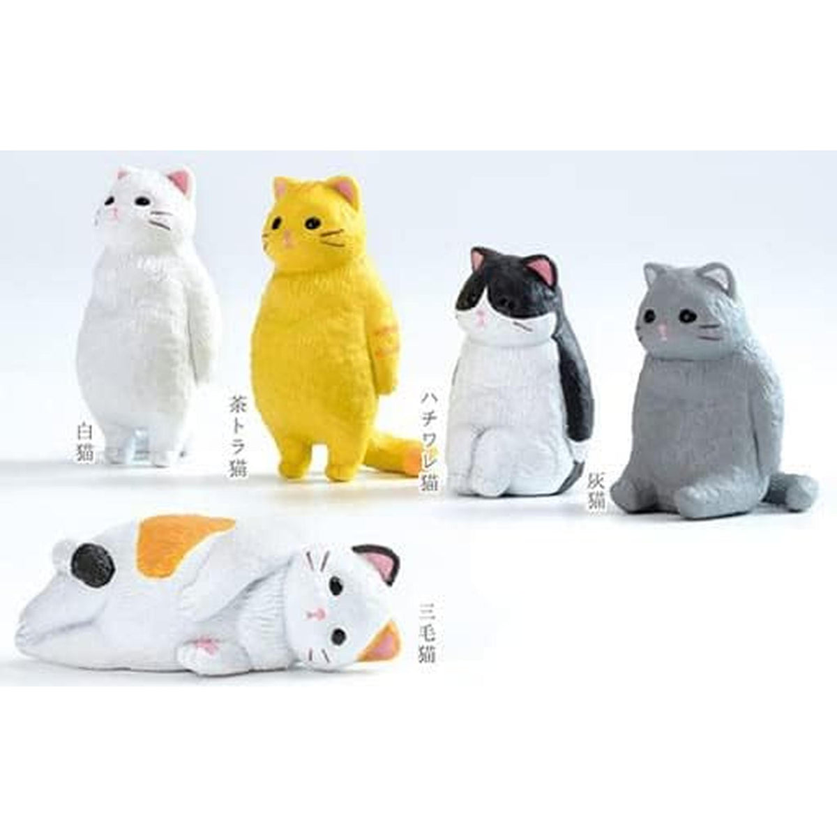 Nothingness. Cat (resale) [complete set of 5 types (full set)] Yell Ga ...
